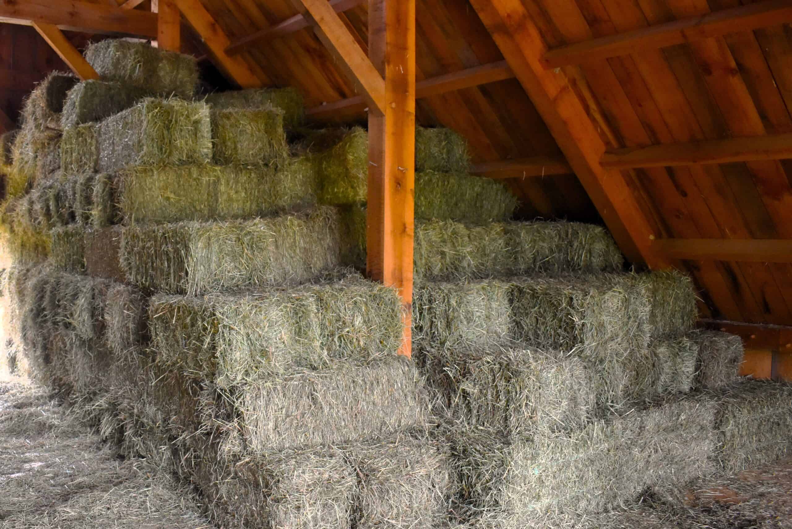 The Farm - Sanborn Mills Farm